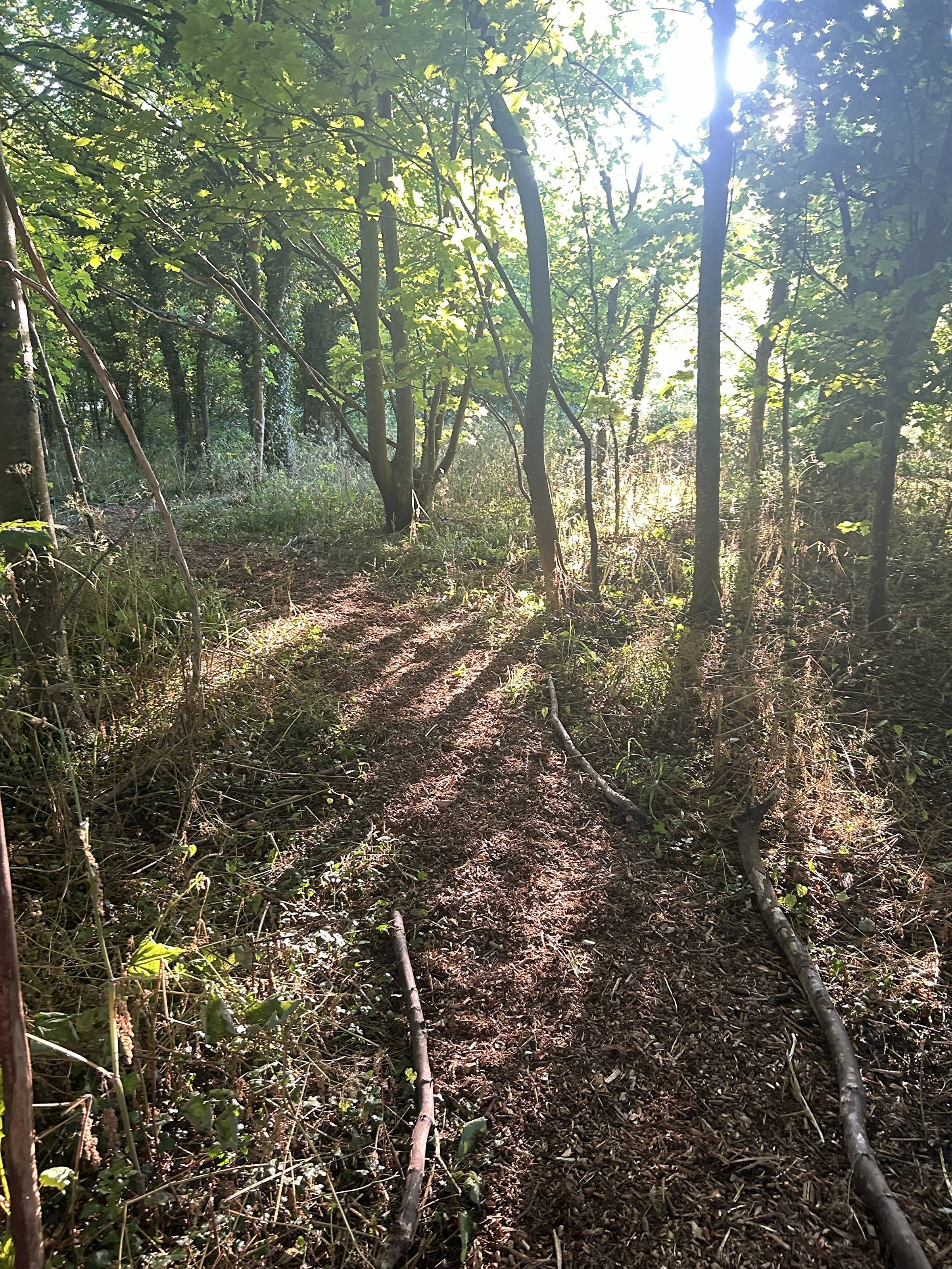 Dog Walking Park | Allseasons Paw Parks