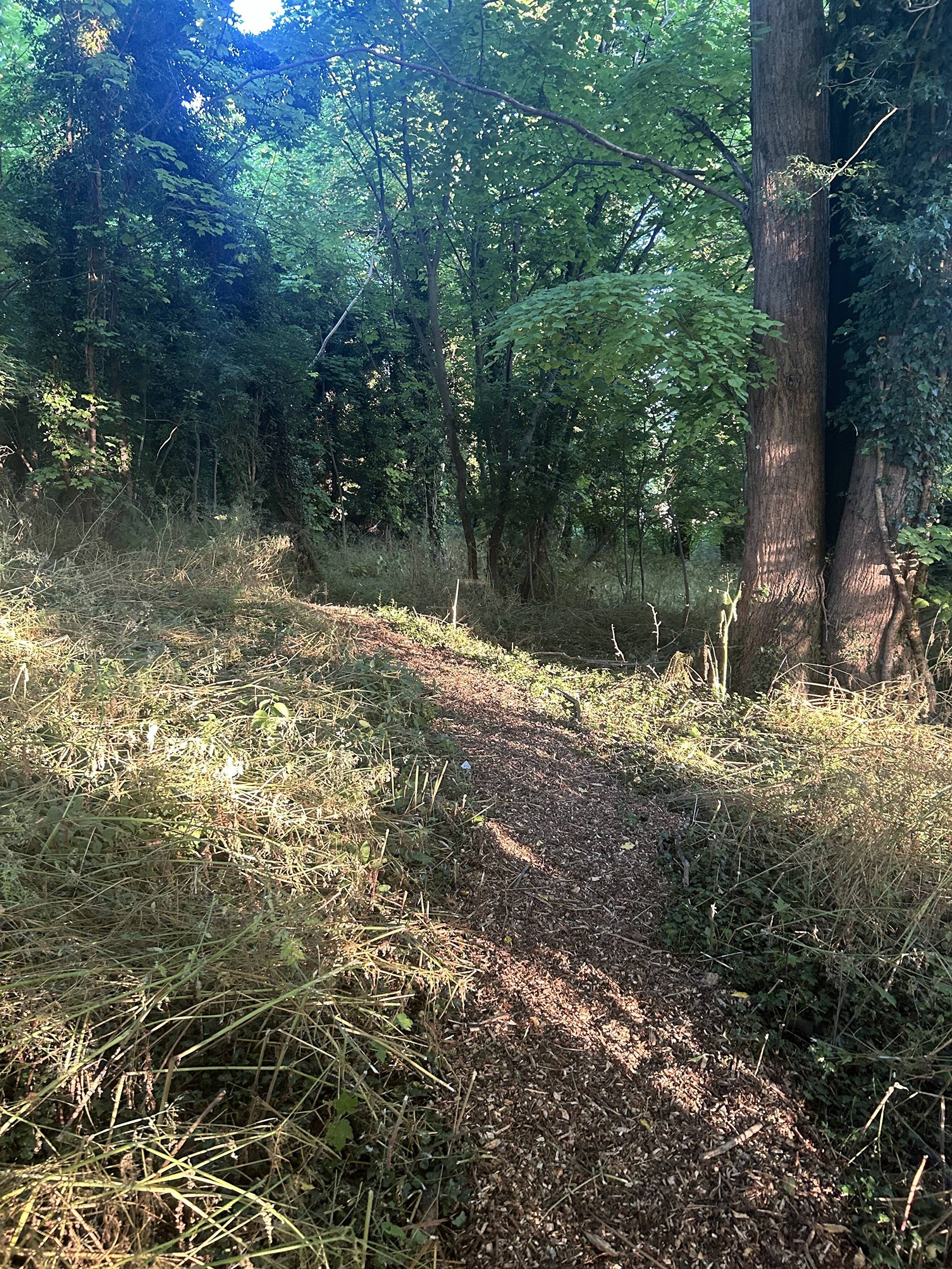 Dog Walking Park | Allseasons Paw Parks
