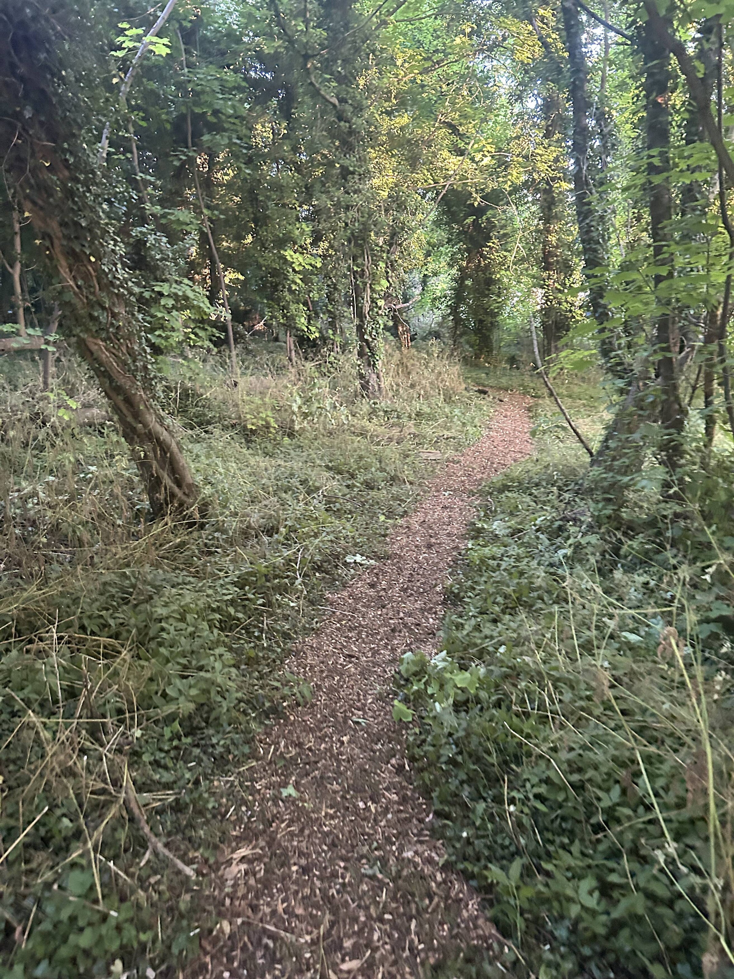 Dog Walking Park | Allseasons Paw Parks