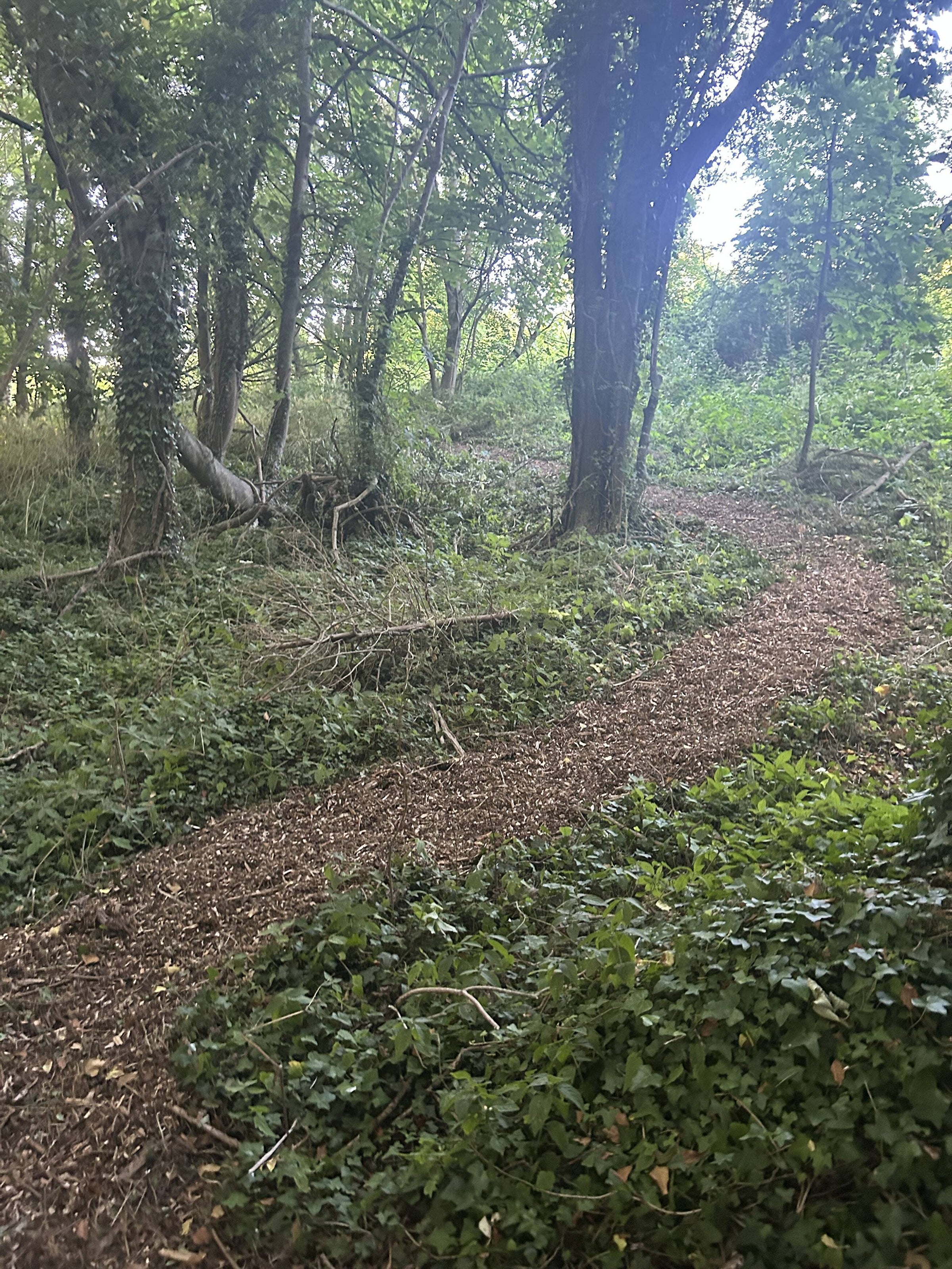 Dog Walking Park | Allseasons Paw Parks